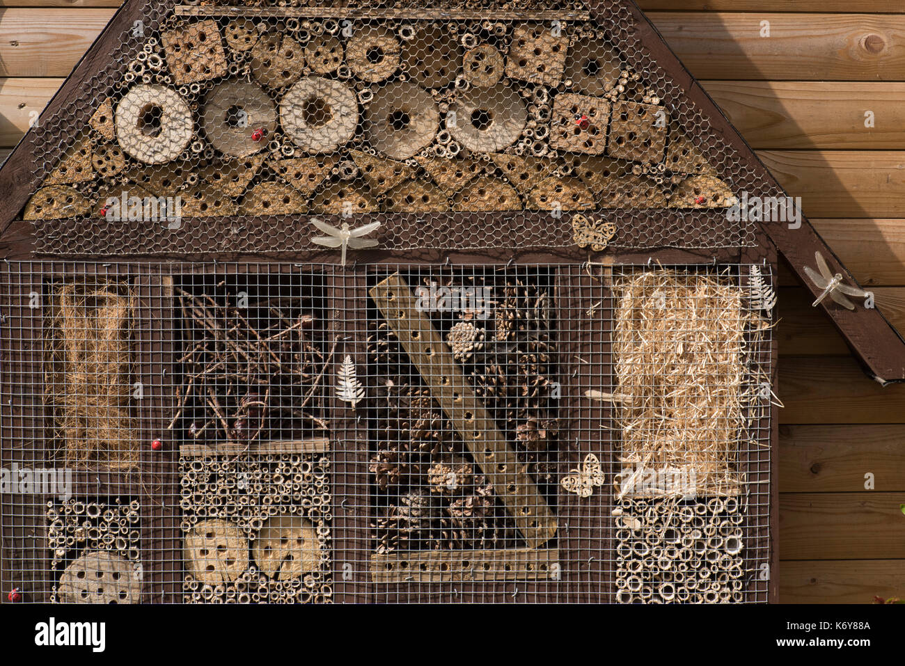 Invertebrates house hi-res stock photography and images - Alamy
