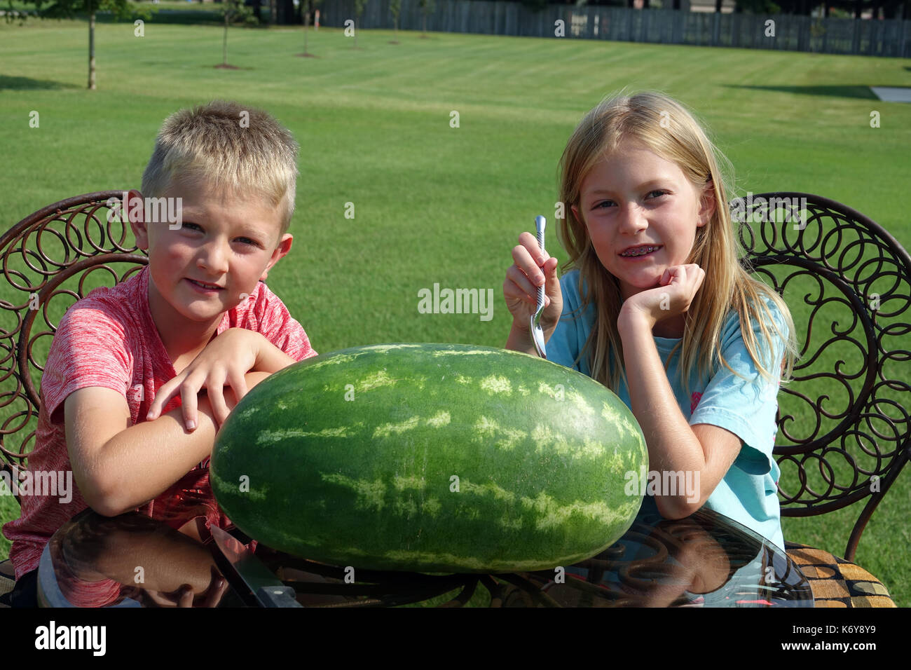 Watermelon vine hi-res stock photography and images - Alamy