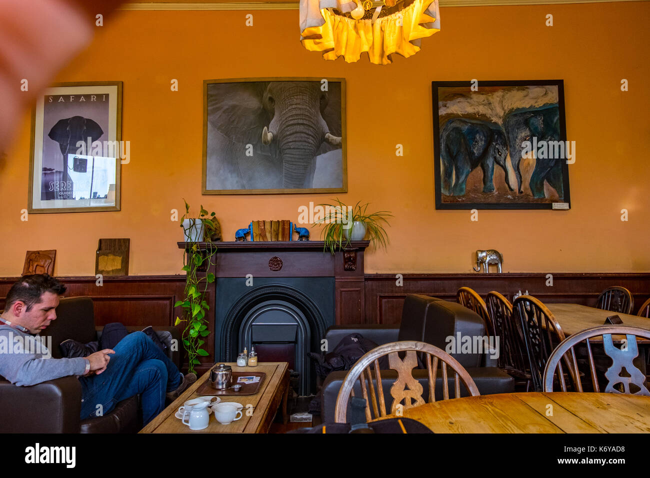 Elephant House Edinburgh High Resolution Stock Photography and Images ...