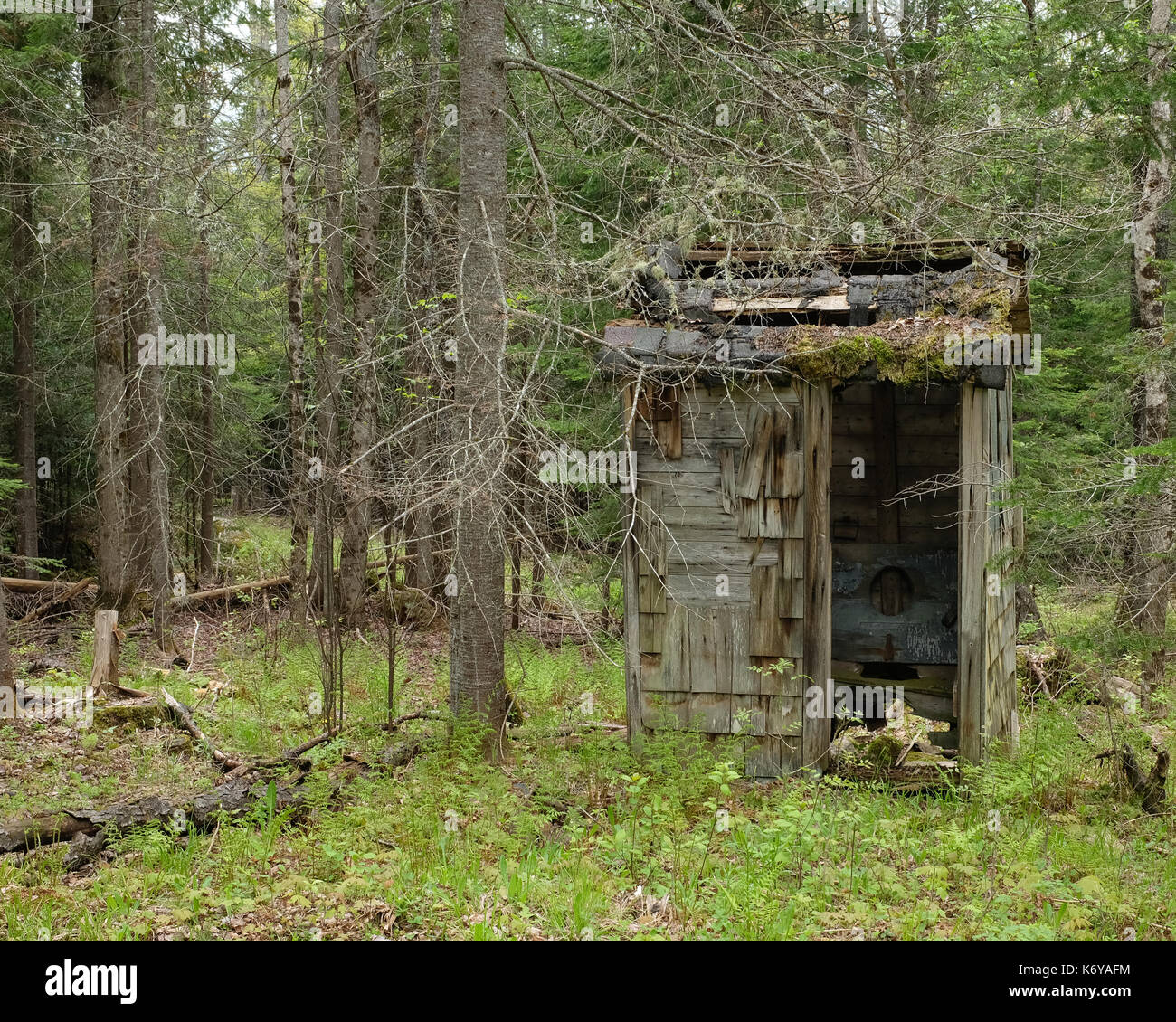 Old abandoned outhouse or privy falling down in the Adirondack ...