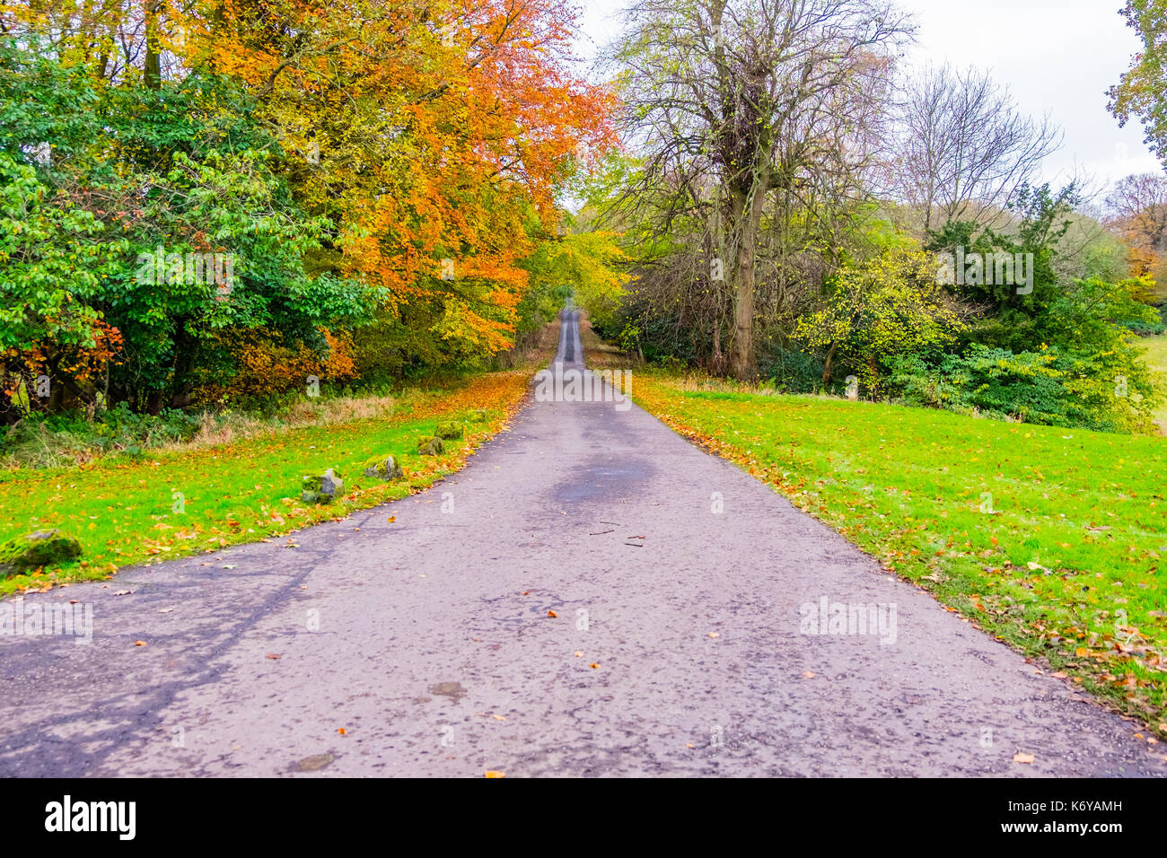 Hopton house hi-res stock photography and images - Alamy