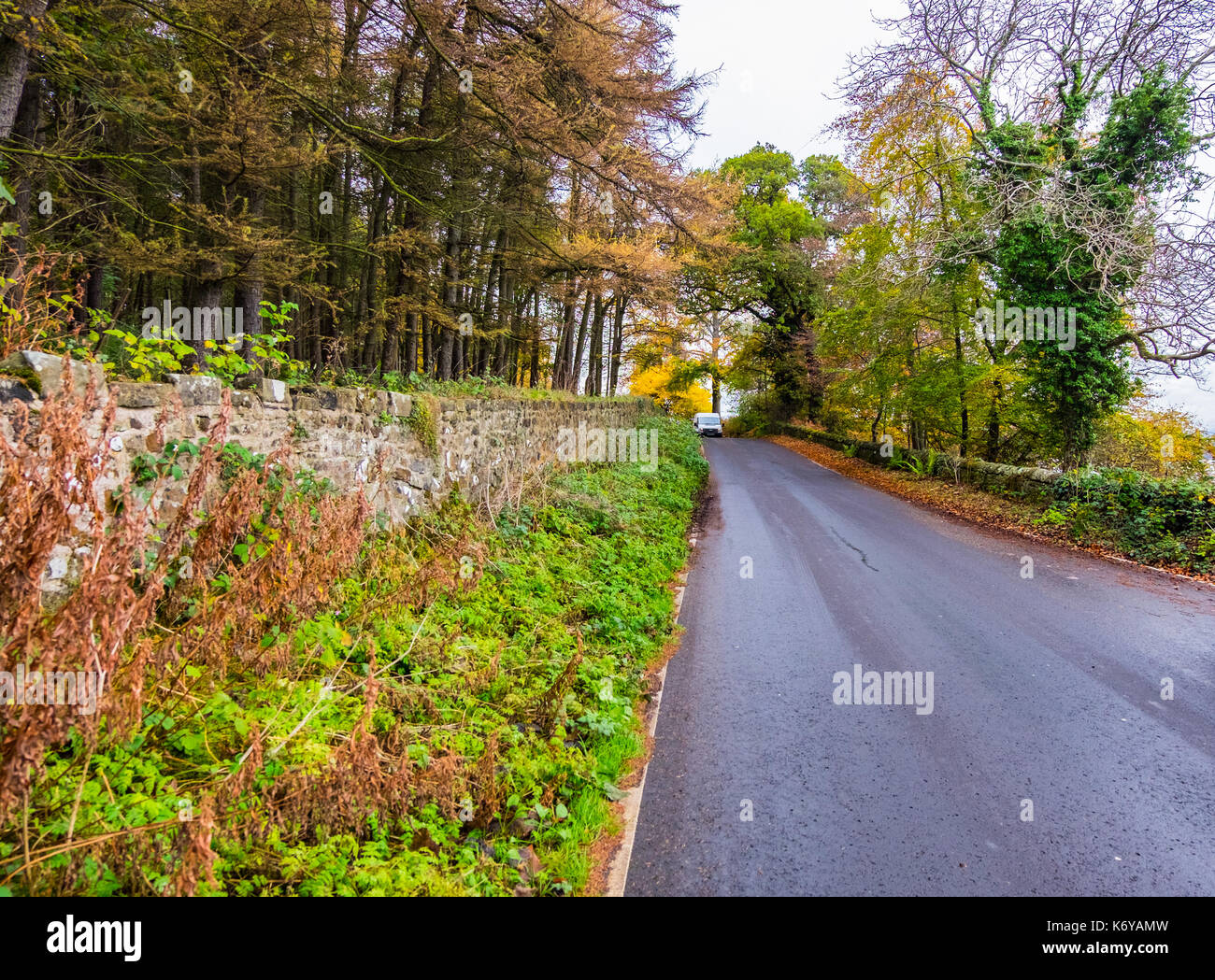 Hopeton house hi-res stock photography and images - Alamy