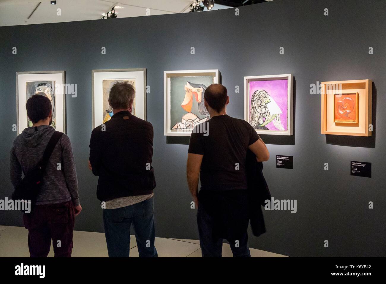 France, Paris, Musee du Quai Branly by the architect Jean Nouvel Stock ...
