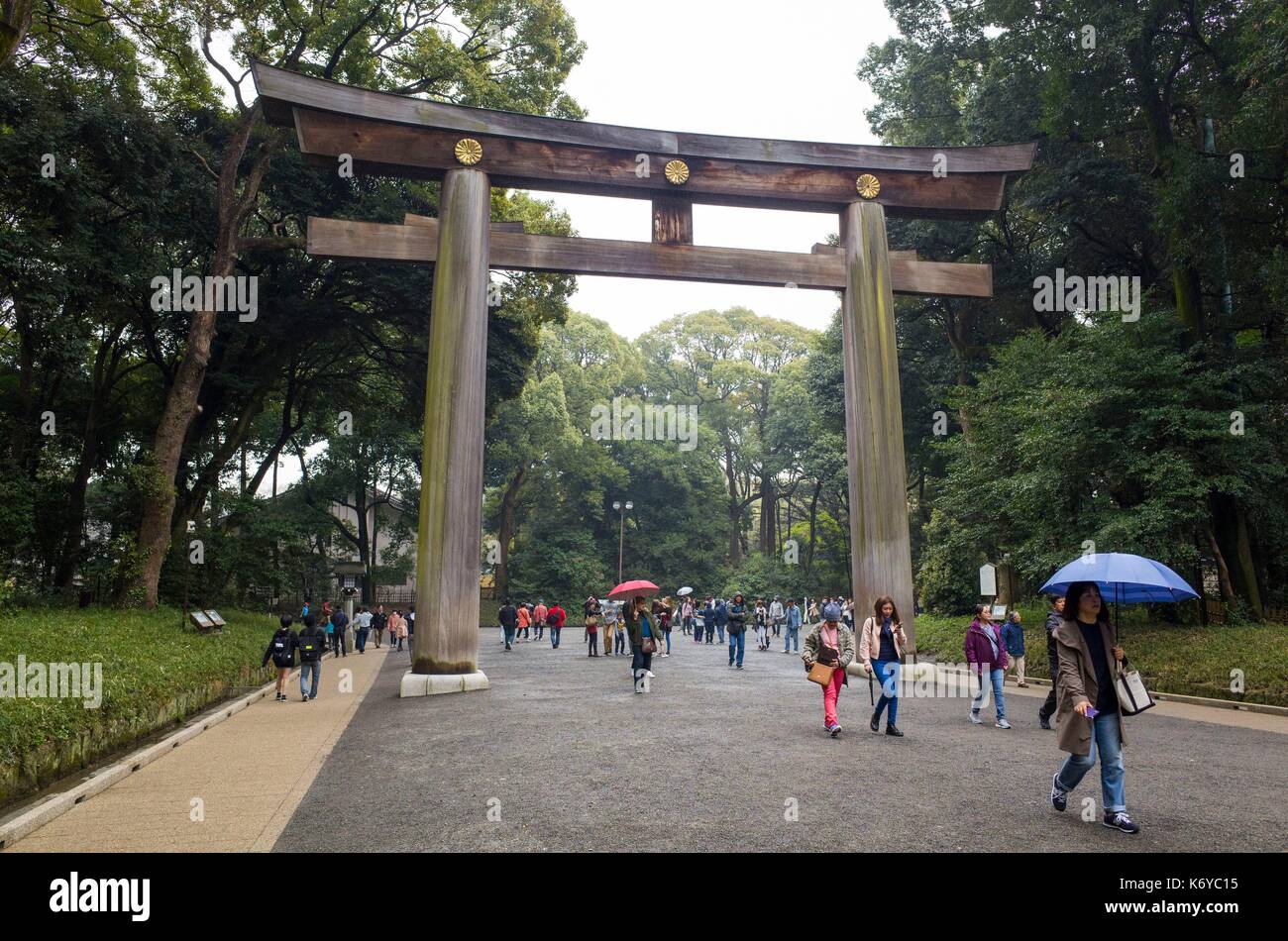 Japan, Tokyo, Shibuya district, Meiji Jingu shintoist temple destroyed ...