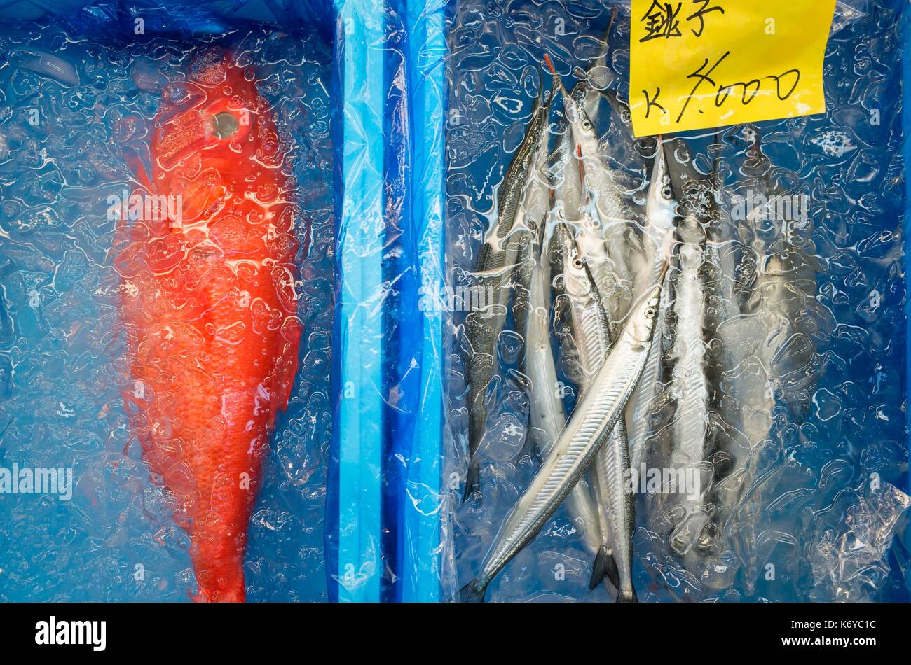 Japan, Tokyo, Tsukiji fish market, the world's largest fish market with ...