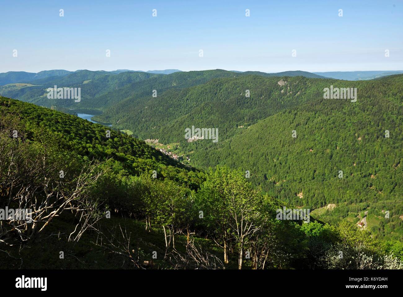 France, Hautes Vosges, Haut Rhin, Fellering, Kruth Wildenstein lake ...