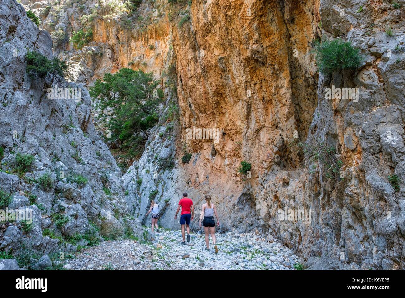 Greece, Eastern Crete, Lassithi district, hiking in Kritsa gorge ...