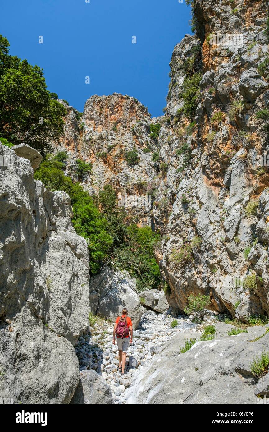 Greece, Eastern Crete, Lassithi district, hiking in Kritsa gorge ...