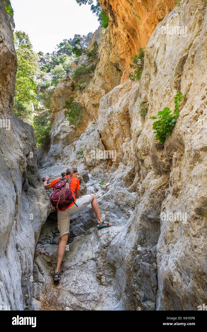 Greece, Eastern Crete, Lassithi district, hiking in Kritsa gorge ...