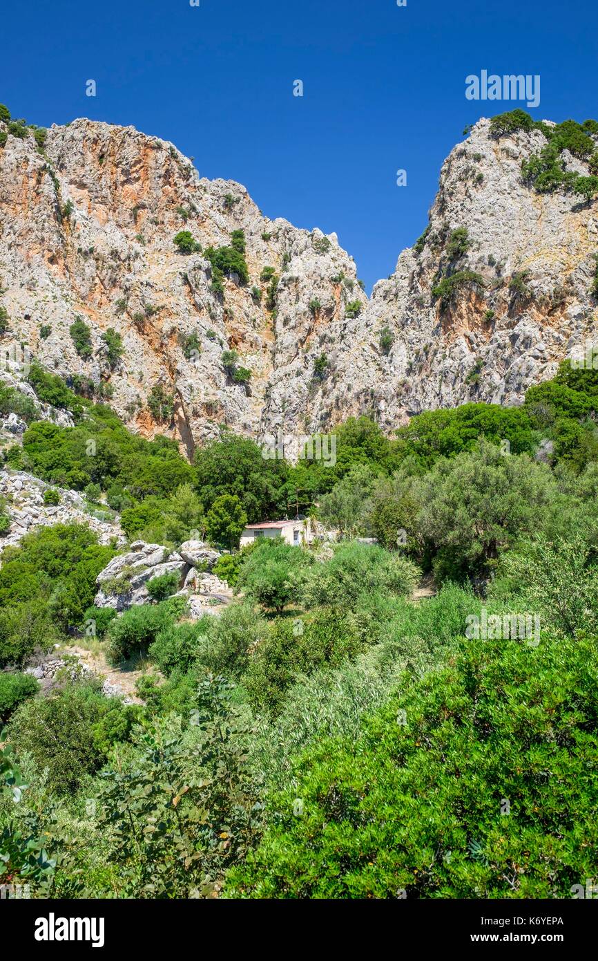 Greece, Eastern Crete, Lassithi district, Kritsa gorge between Kritsa ...