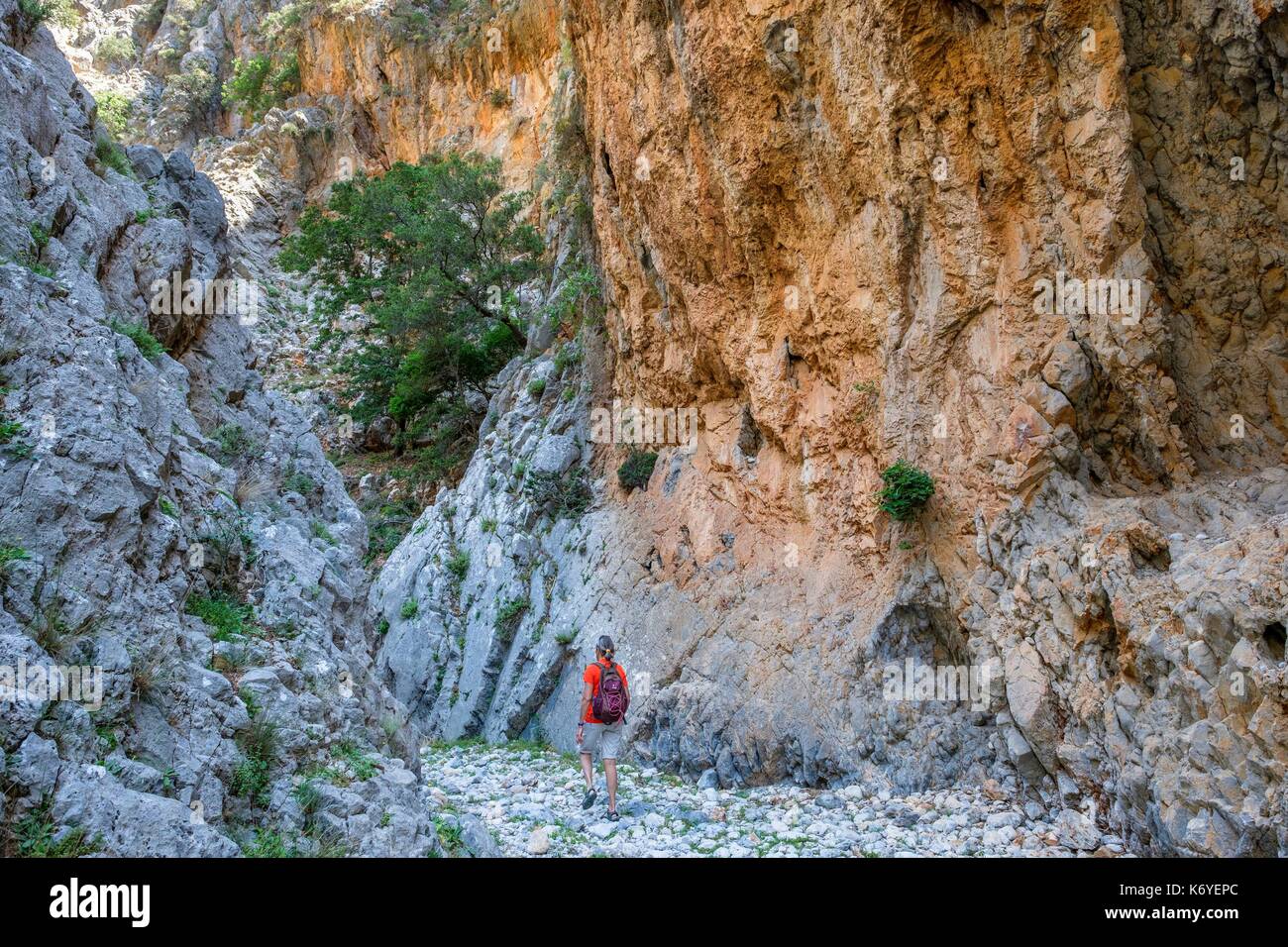 Greece, Eastern Crete, Lassithi district, hiking in Kritsa gorge ...