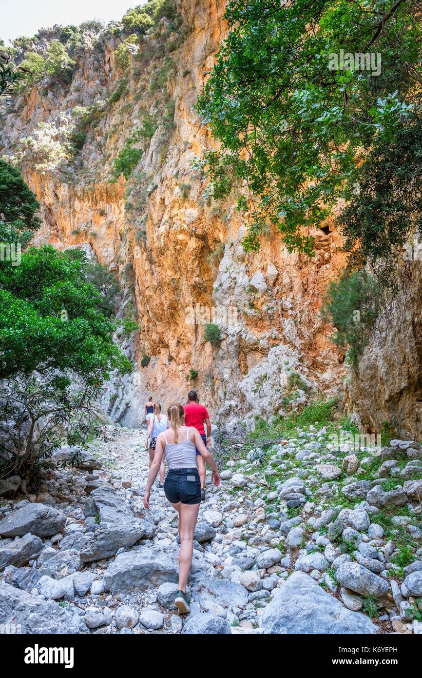 Greece, Eastern Crete, Lassithi district, hiking in Kritsa gorge ...
