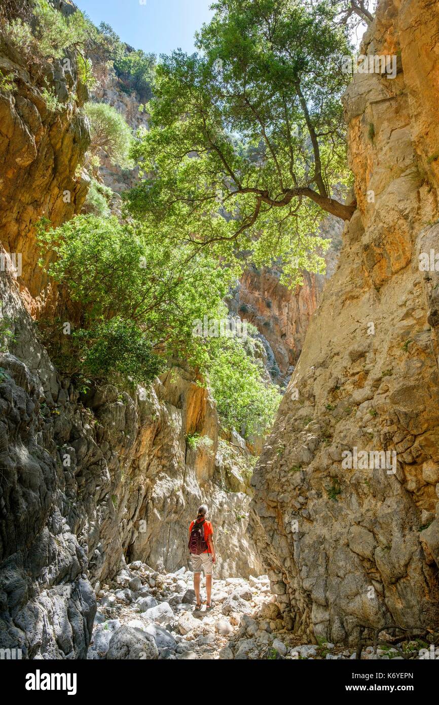 Greece, Eastern Crete, Lassithi district, hiking in Kritsa gorge ...