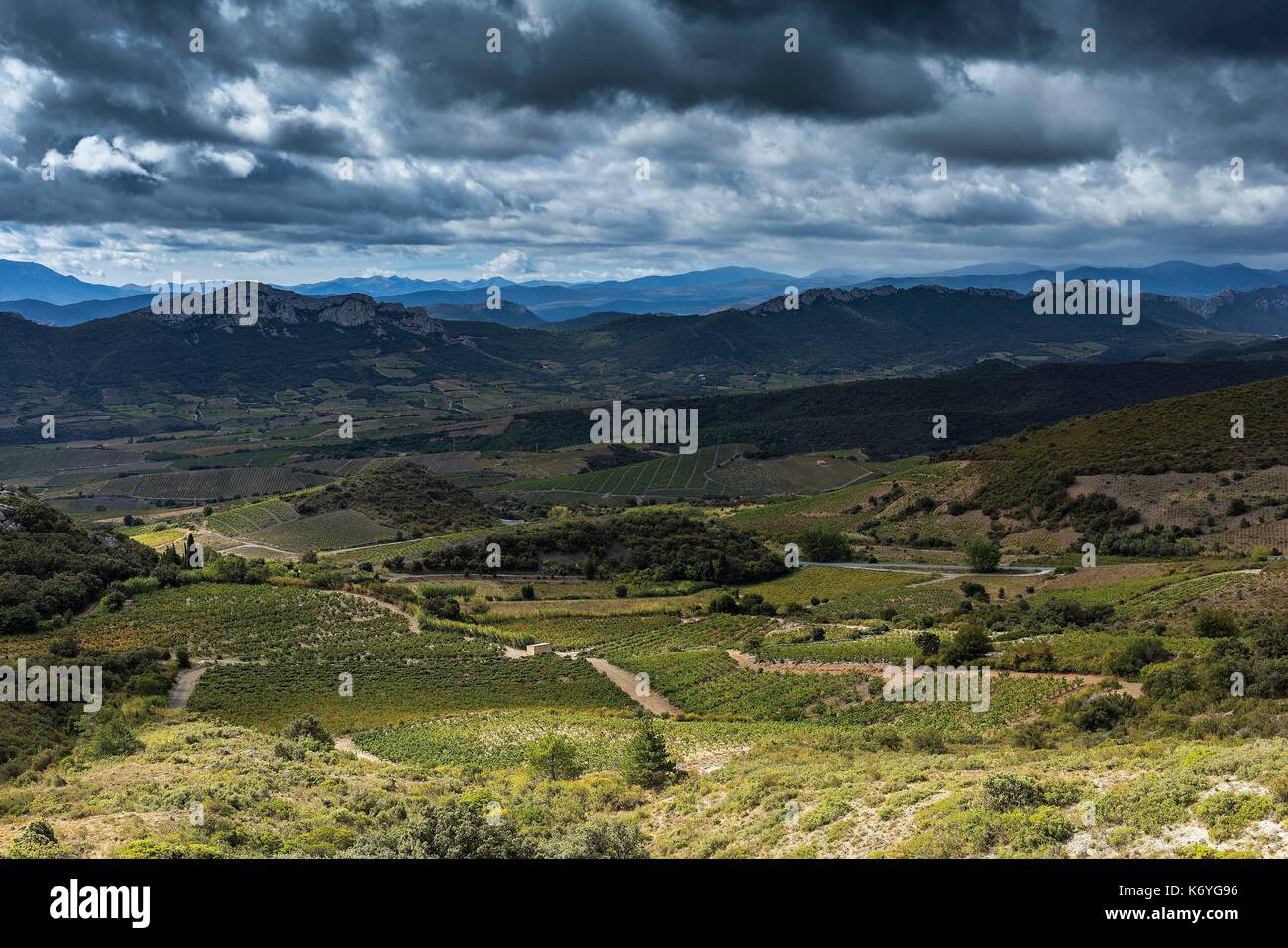 France, Pyrenees Orientales, Maury, Maury vineyards, threatening sky ...