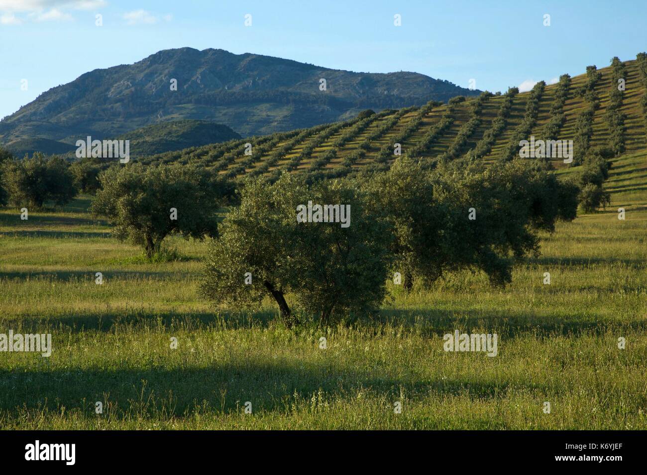 Caliphate route hi-res stock photography and images - Alamy