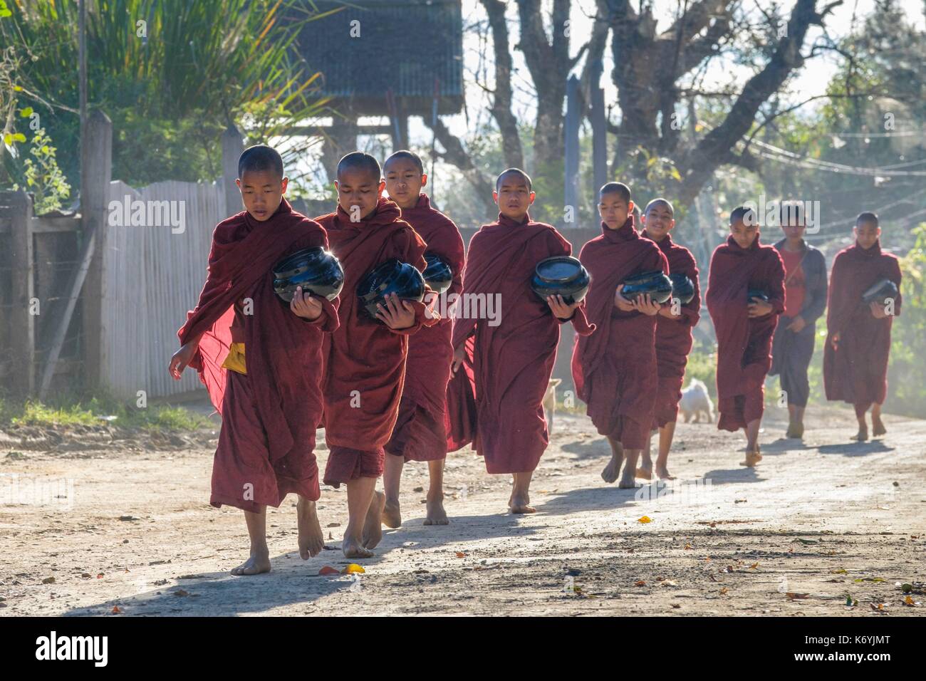 Myanmar (Burma), Chin State, Mindat, procession of Buddhist monks early ...