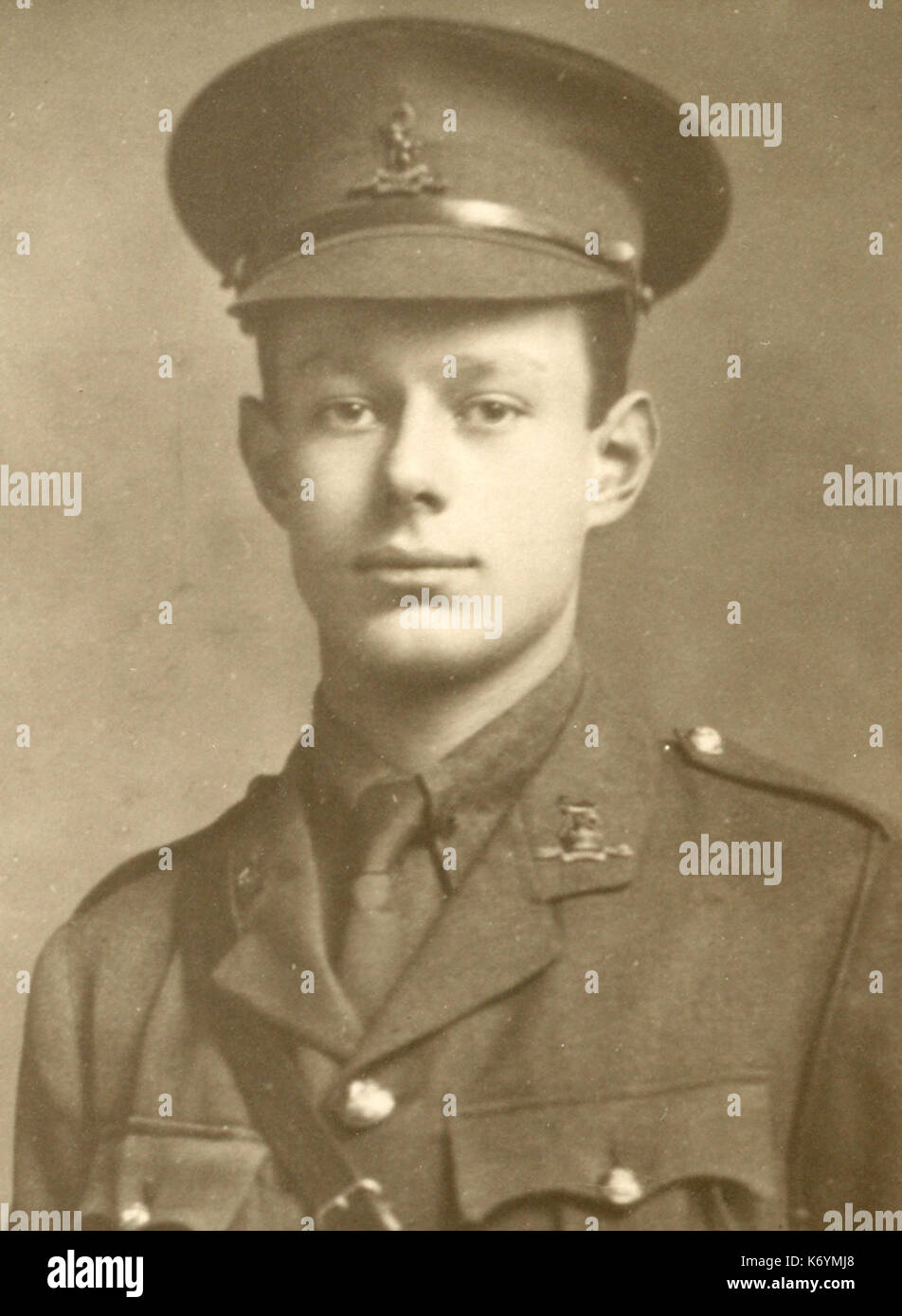 Frank Laurence Lucas, 2 Lt Royal West Kent Regt., 1914 Stock Photo - Alamy