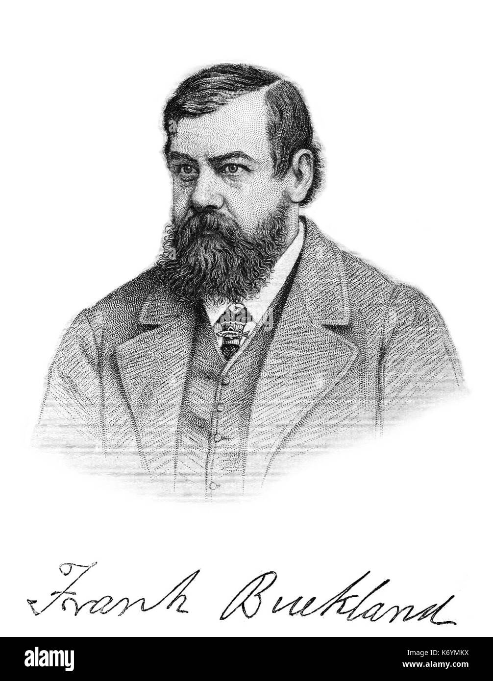 Naturalist fish Cut Out Stock Images & Pictures - Alamy