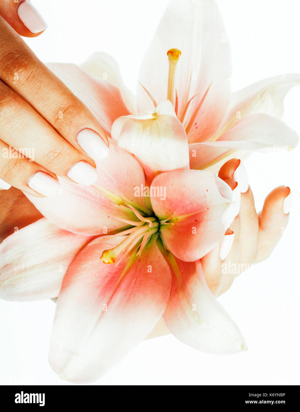 beauty delicate hands with manicure holding flower lily close up ...