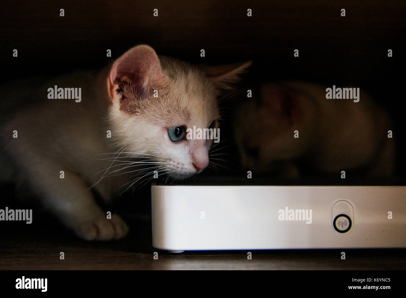 Home wireless hi-res stock photography and images - Alamy