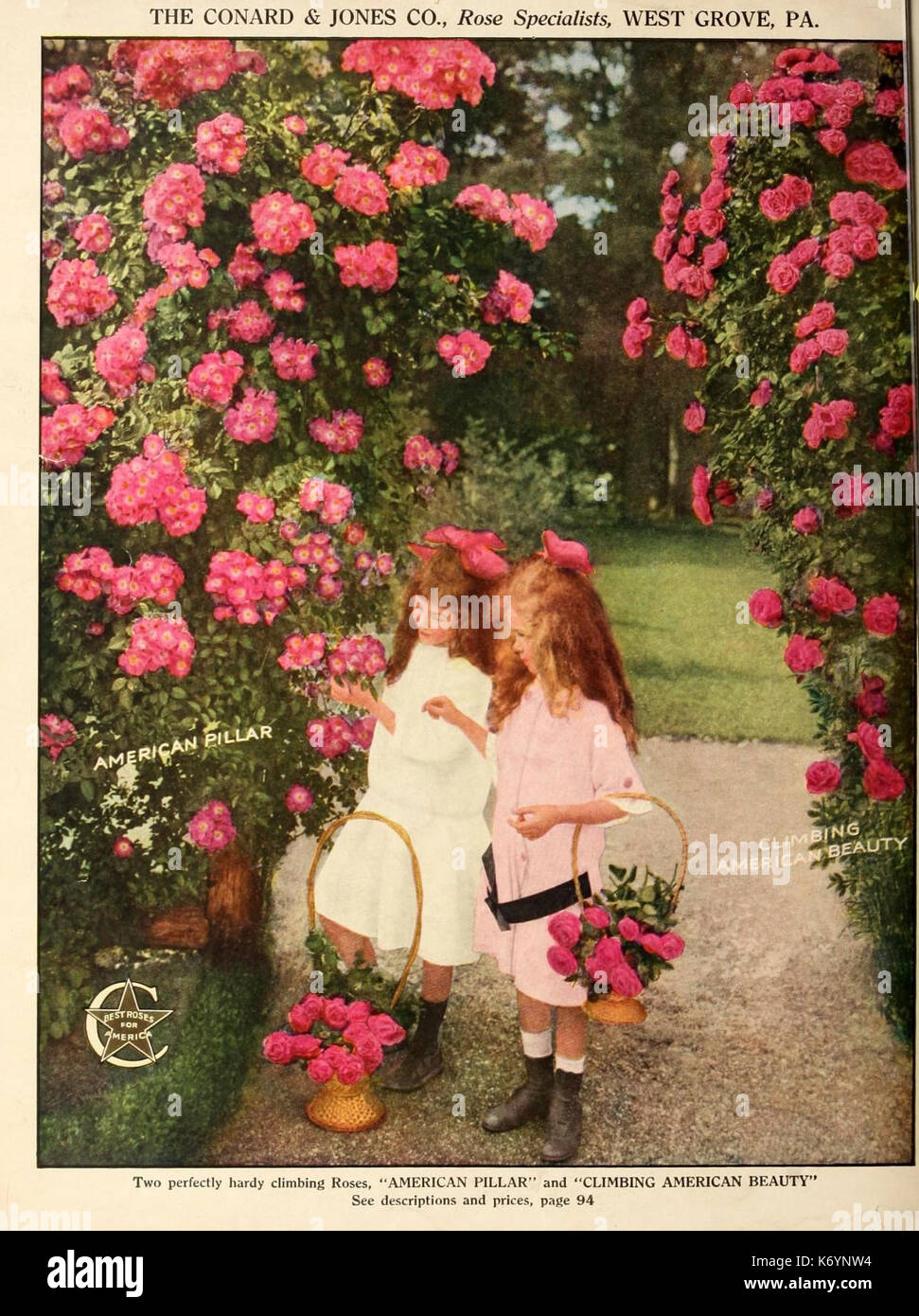 Floral guide (16457261593 Stock Photo - Alamy