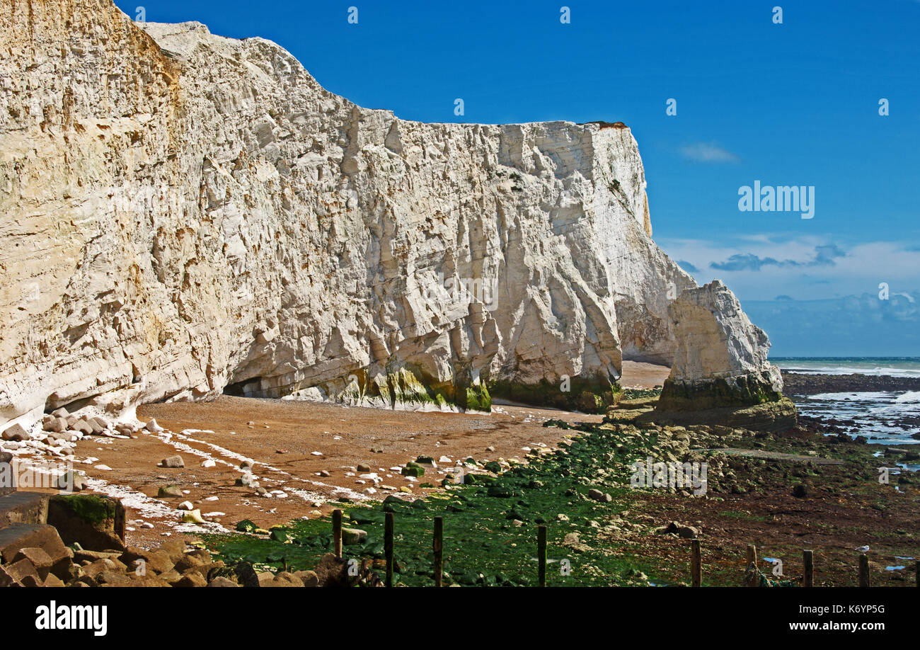 Seaford Head Chalk Cliffs, Sussex, England Stock Photo - Alamy