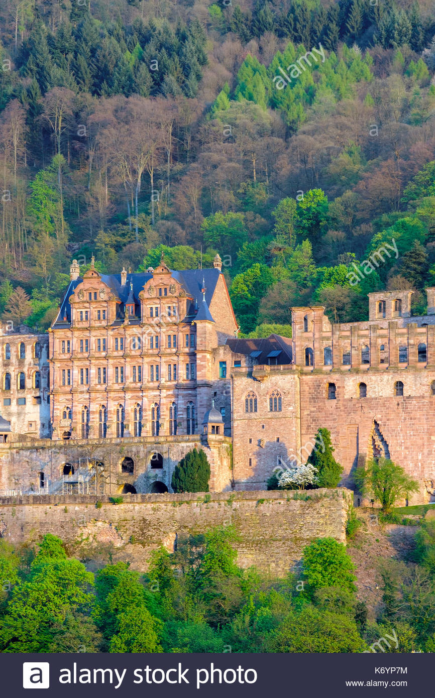 Renaissance Germany High Resolution Stock Photography and Images - Alamy