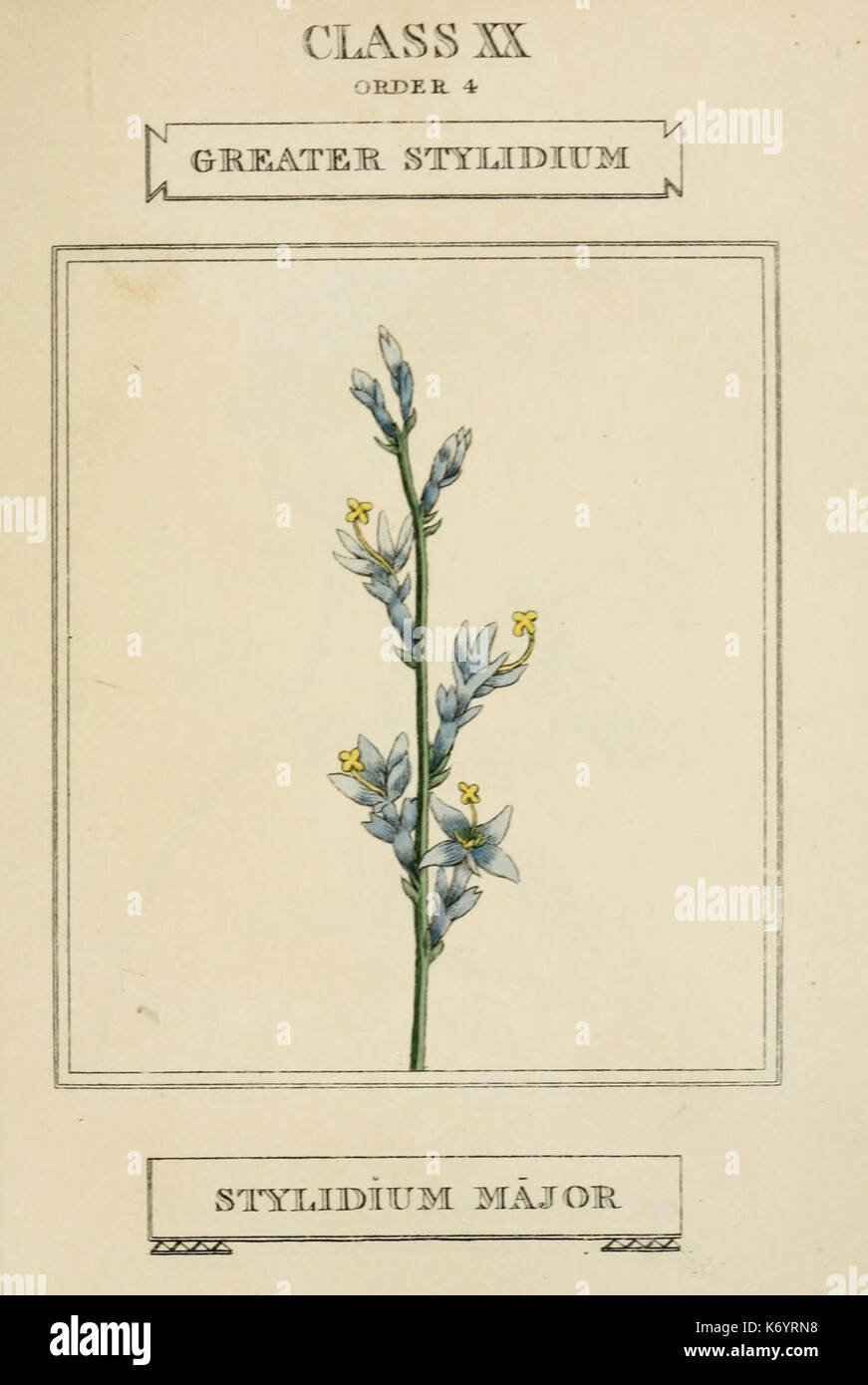 Elements of the science of botany (9902123224 Stock Photo - Alamy