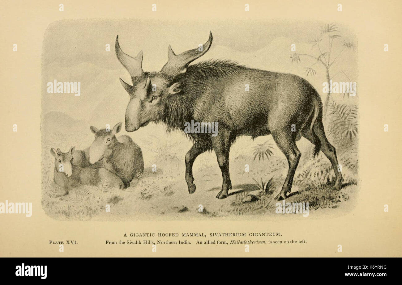 Extinct monsters map hi-res stock photography and images - Alamy