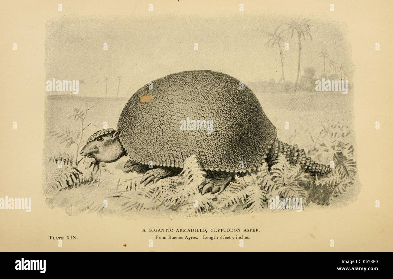 Extinct monsters map hi-res stock photography and images - Alamy