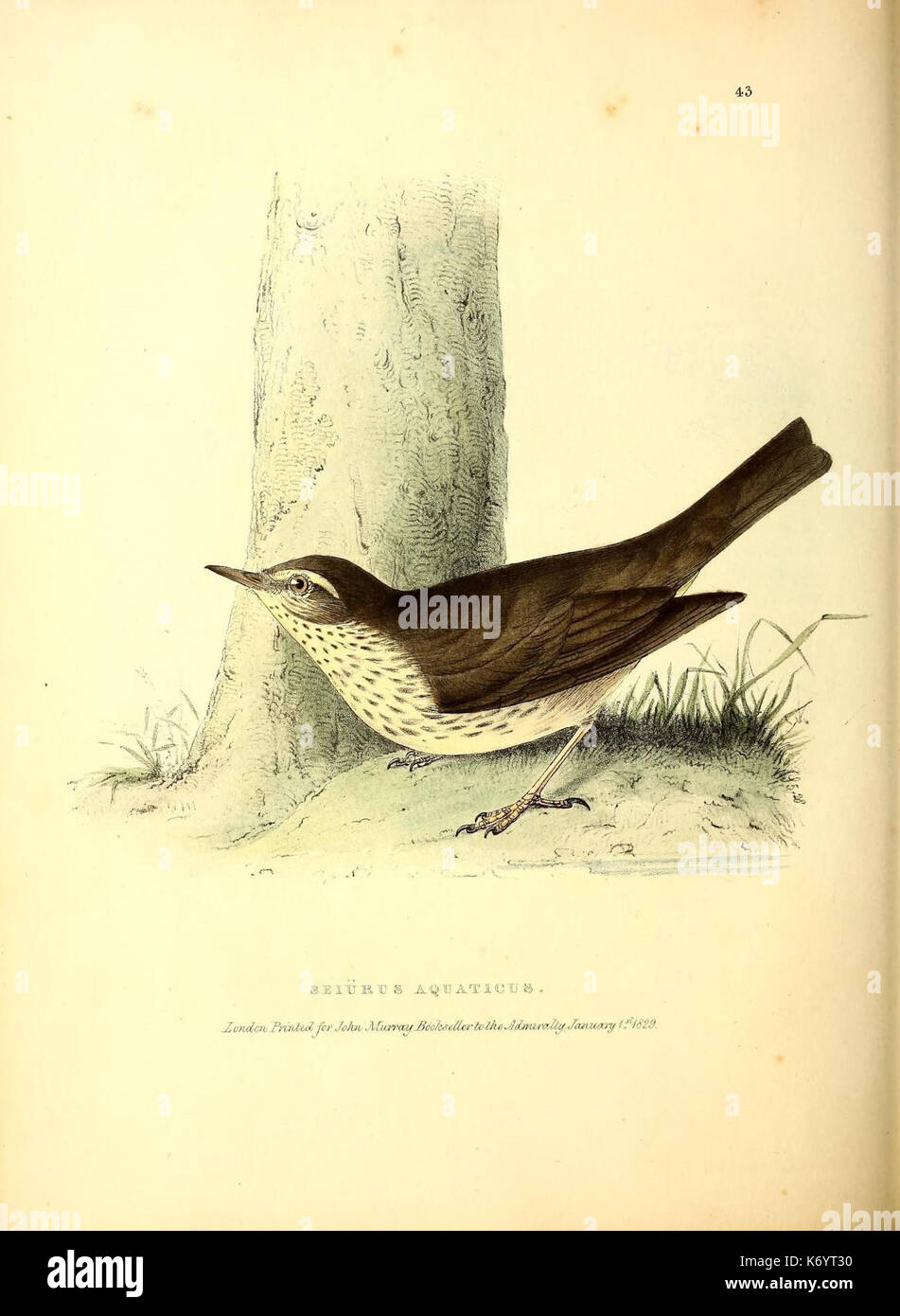 Fauna boreali americana, or, The zoology of the northern parts of ...