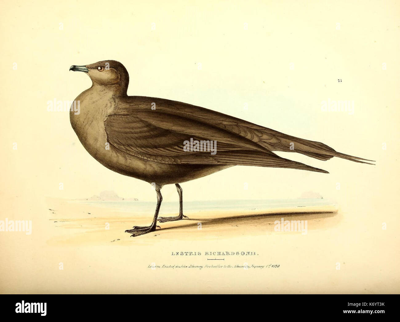 Fauna boreali americana, or, The zoology of the northern parts of ...