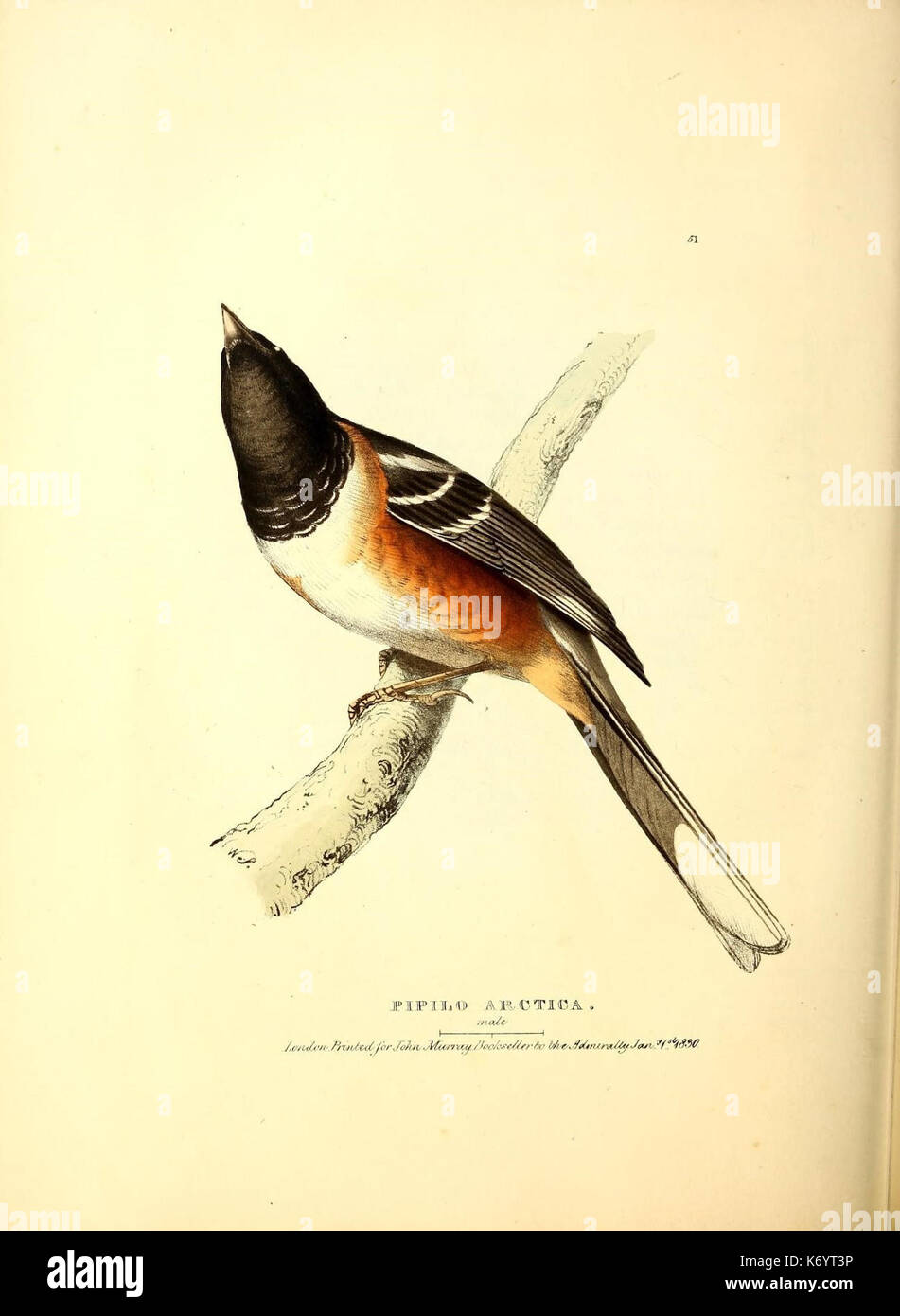 Fauna boreali americana, or, The zoology of the northern parts of ...