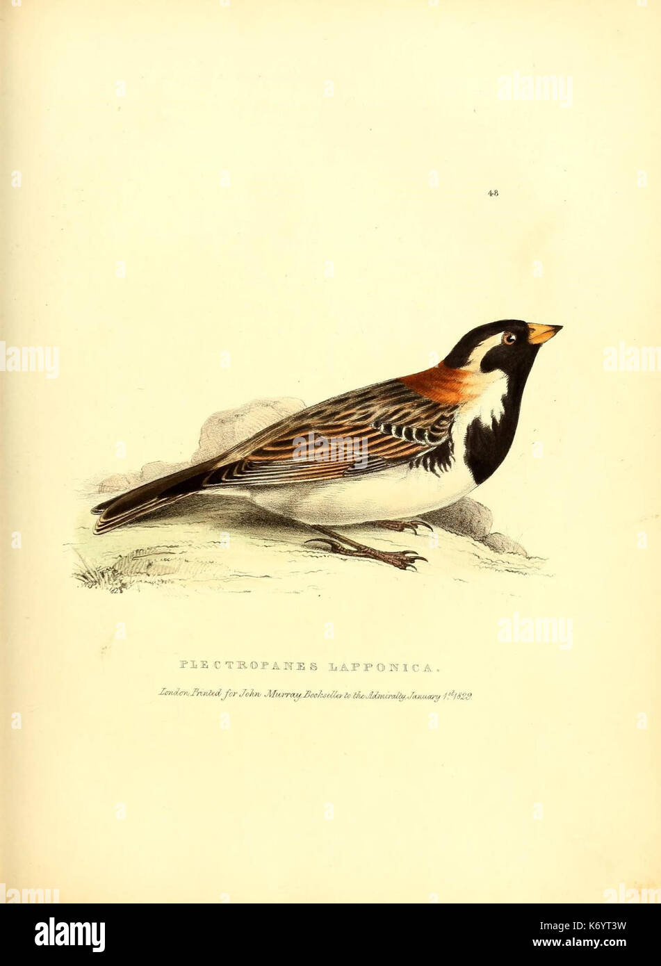 Fauna boreali americana, or, The zoology of the northern parts of ...