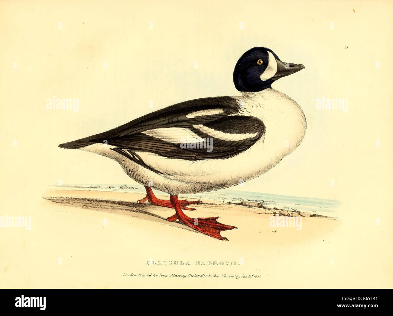 Fauna boreali americana, or, The zoology of the northern parts of ...