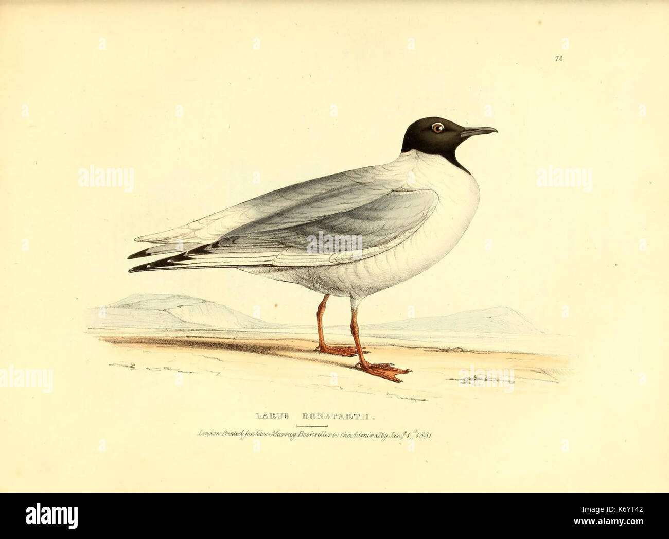 Fauna boreali americana, or, The zoology of the northern parts of ...