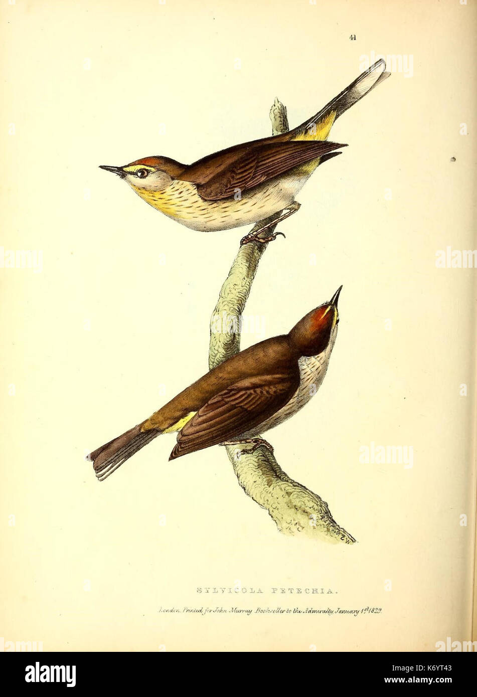 Fauna boreali americana, or, The zoology of the northern parts of ...