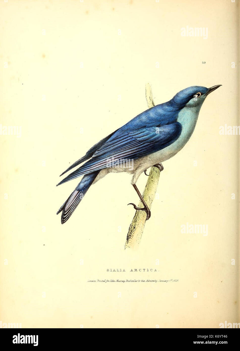 Fauna boreali americana, or, The zoology of the northern parts of ...
