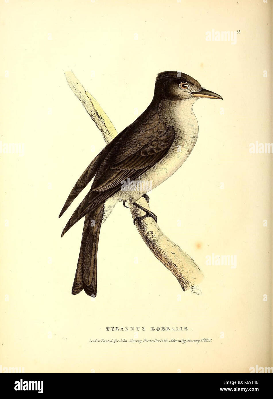 Fauna boreali americana, or, The zoology of the northern parts of ...
