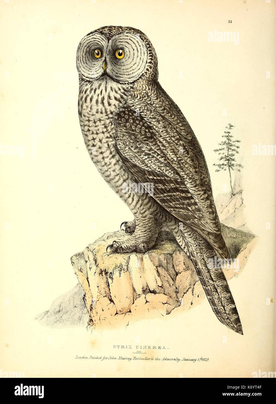 Fauna boreali americana, or, The zoology of the northern parts of ...