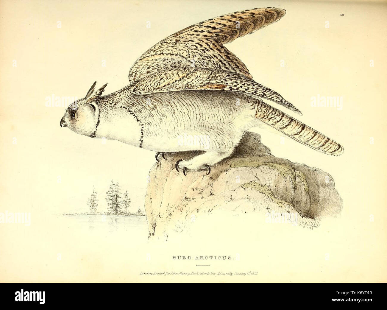 Fauna boreali americana, or, The zoology of the northern parts of ...