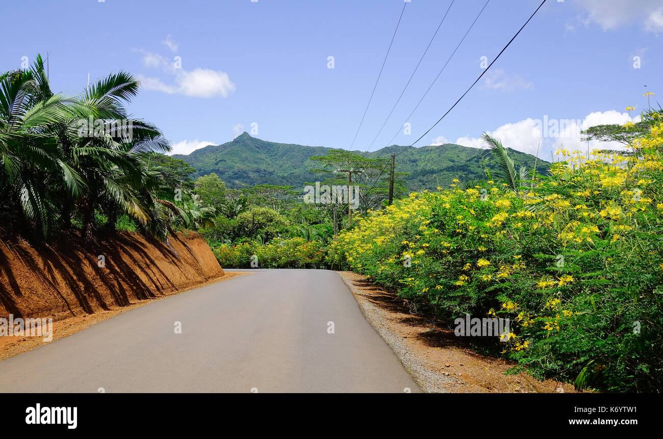 Rural road in Mauritius Island. Mauritius is ranked high in terms of ...