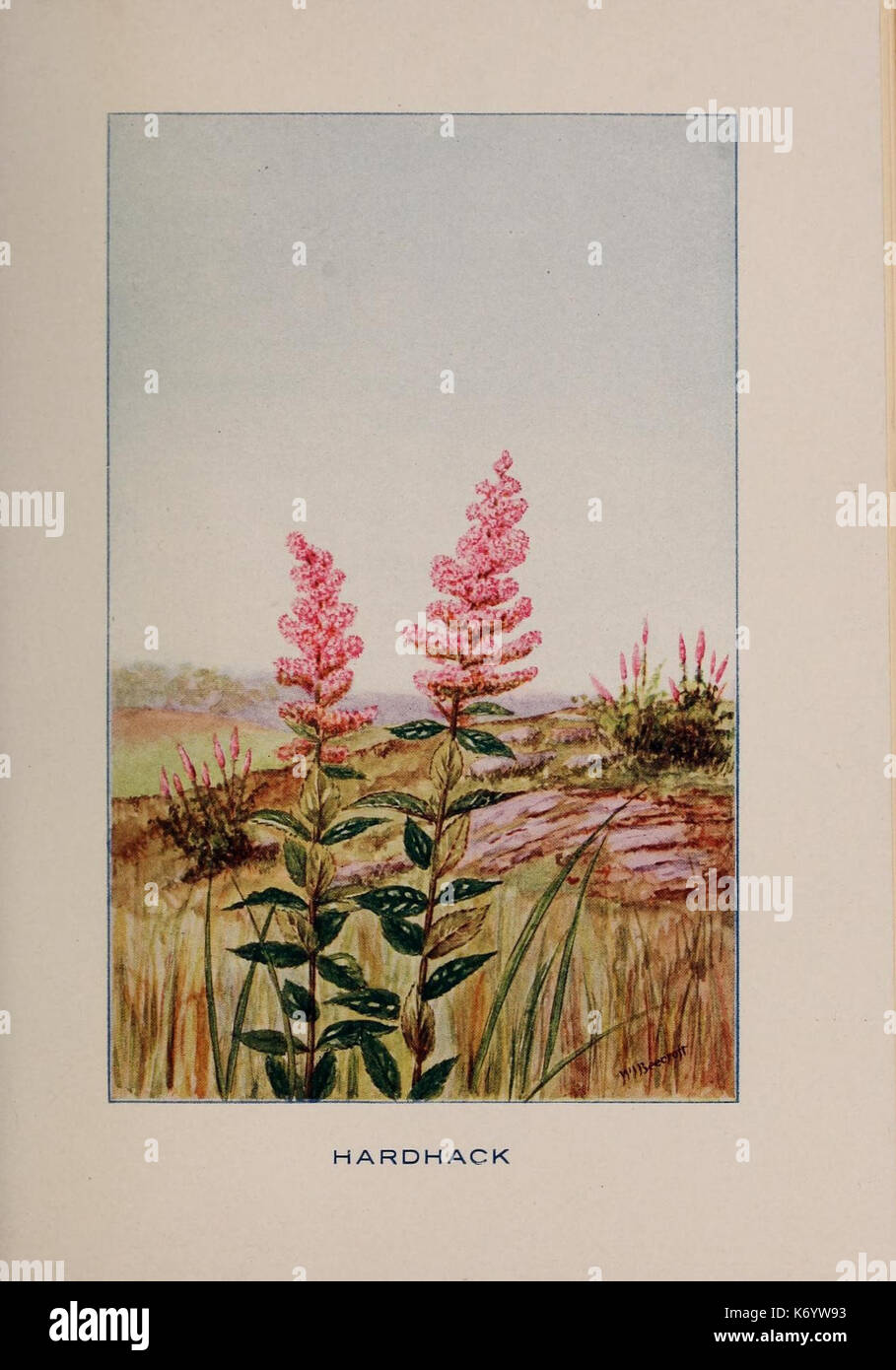 Familiar faces hi-res stock photography and images - Alamy