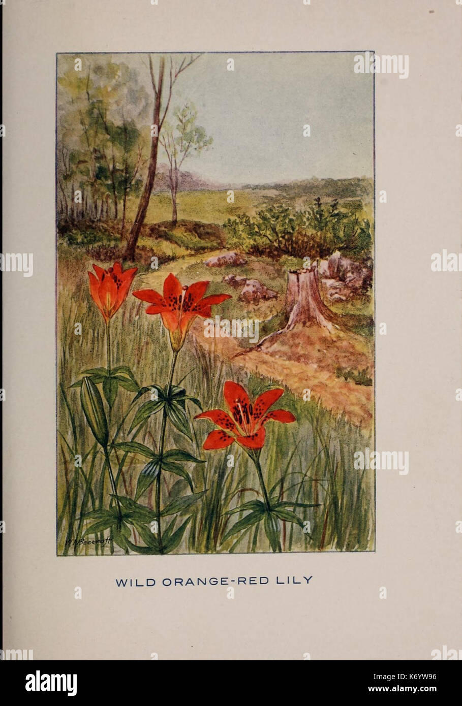 Fifty states map hi-res stock photography and images - Alamy