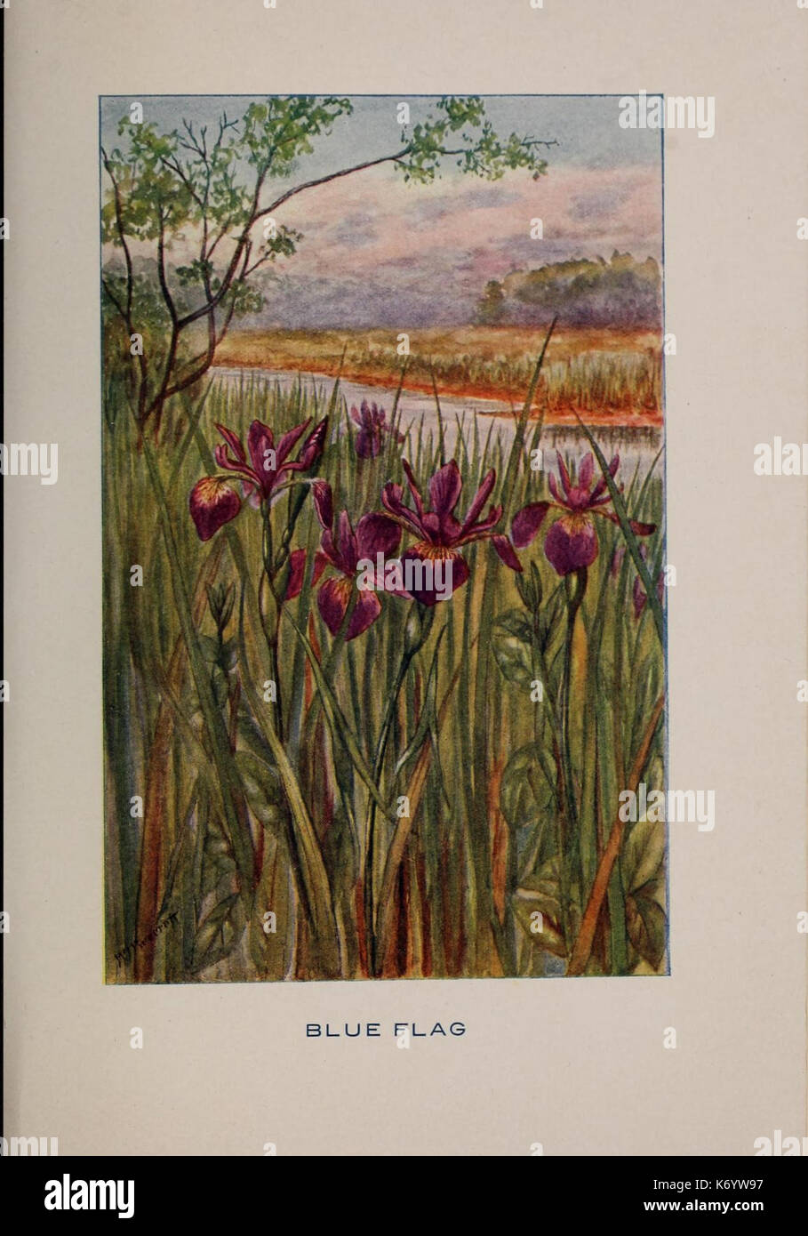 Familiar faces hi-res stock photography and images - Alamy