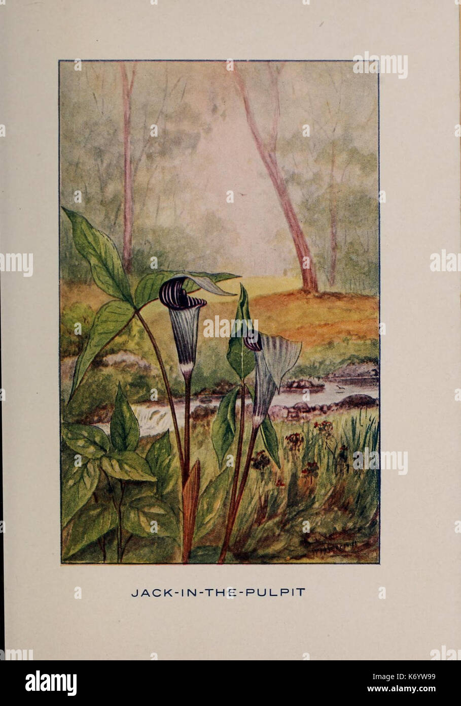 Familiar faces hi-res stock photography and images - Alamy