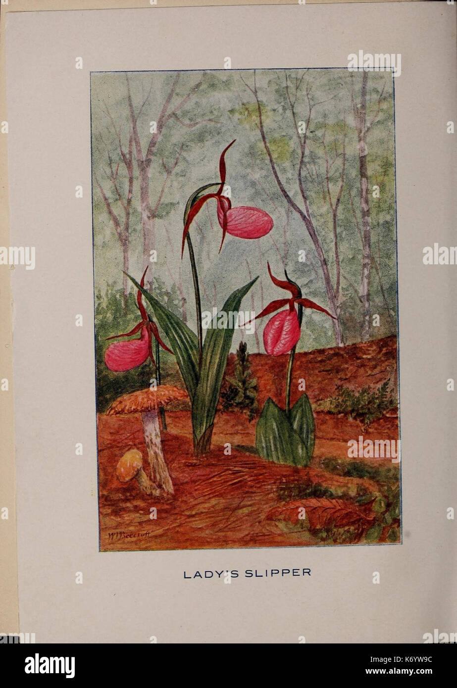 Fifty states map hi-res stock photography and images - Alamy