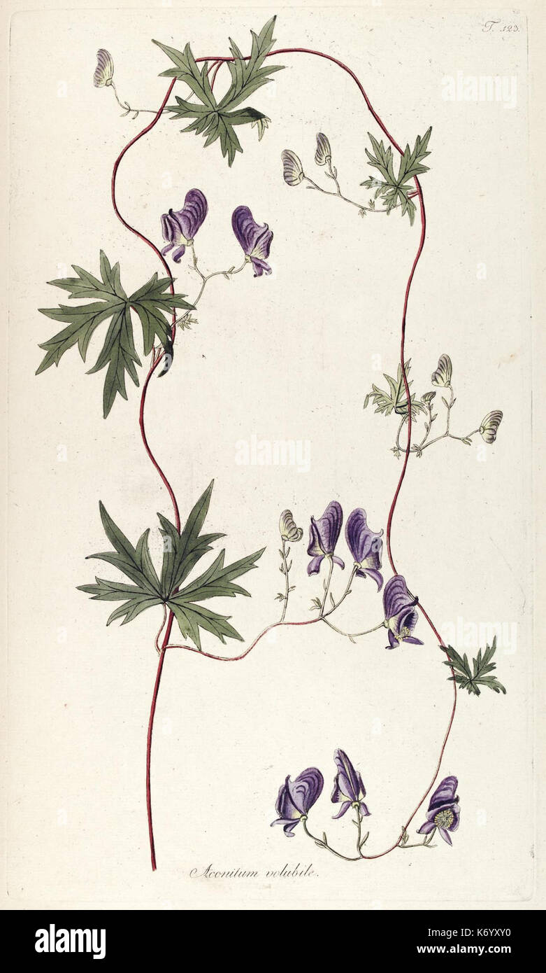 Fragmenta botanica, figuris coloratis illustrata (T. 123) (7943785776 ...