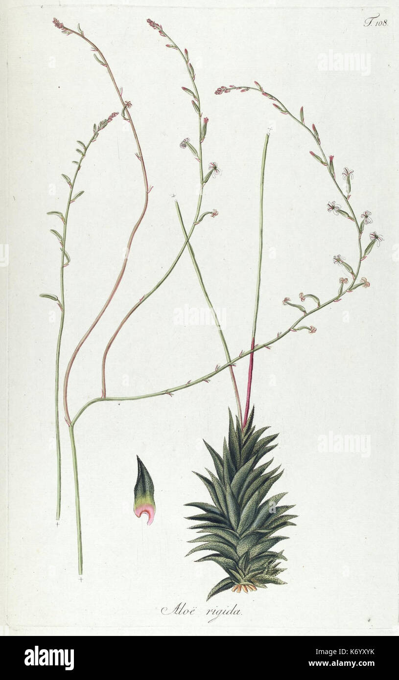 Fragmenta botanica, figuris coloratis illustrata (T. 108) (7943771132 ...