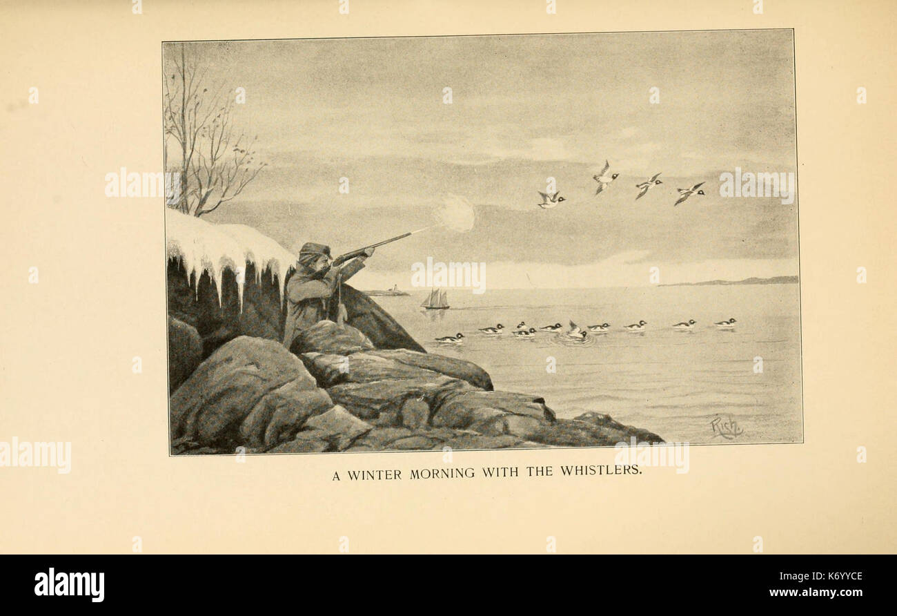 Feathered game of the Northeast (Pl. 70) (8473911770 Stock Photo - Alamy